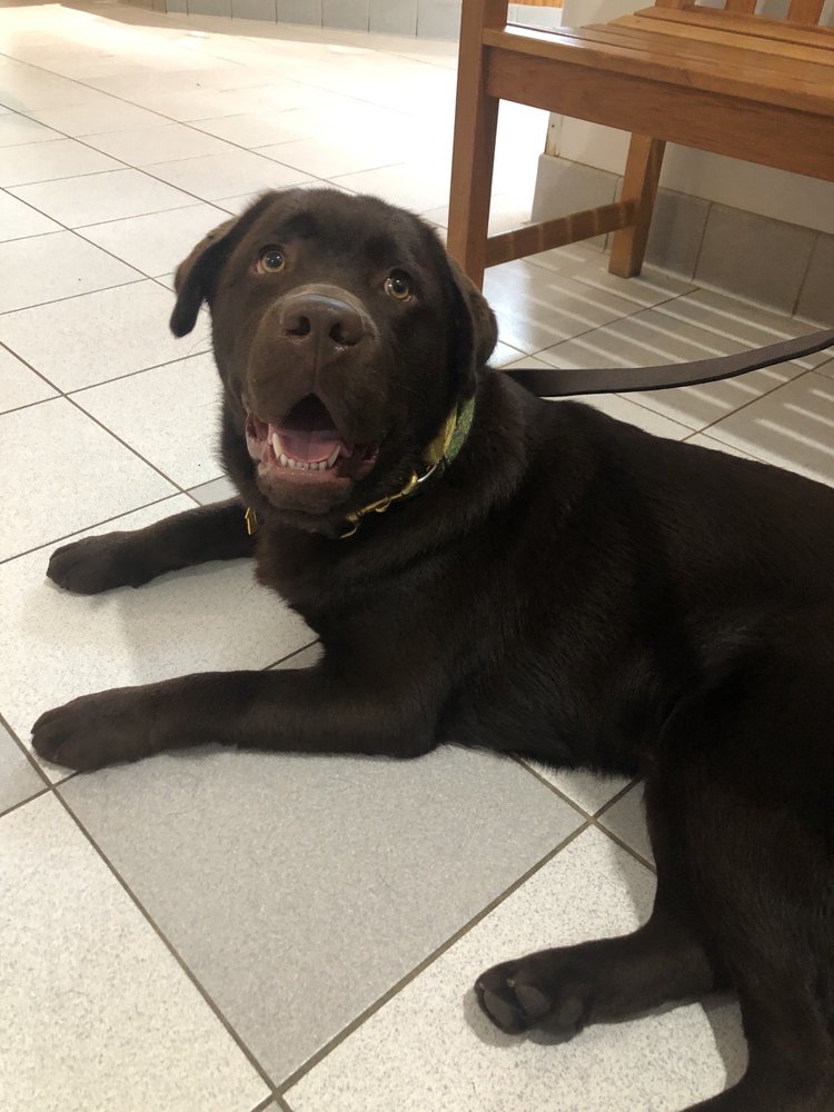 ROCK SPRING VETERINARY CLINIC - Updated May 2026 - 23 Photos & 20 ...