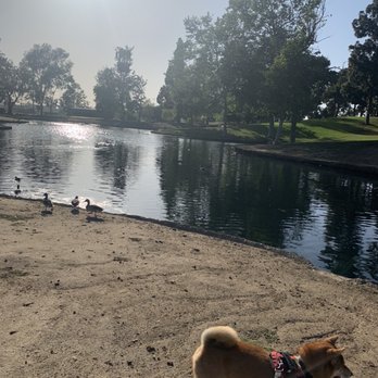 TEWINKLE PARK - Updated January 2025 - 372 Photos & 119 Reviews - 970 ...