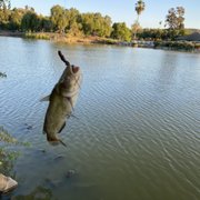 LINDO LAKE COUNTY PARK - 288 Photos & 39 Reviews - 12660 Lindo Ln ...