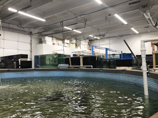 PREDATORY FINS - Updated January 2026 - 37 Photos & 11 Real Reviews ...