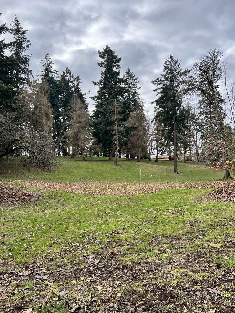 KENILWORTH PARK - Updated October 2025 - 22 Photos & 12 Reviews - SE ...