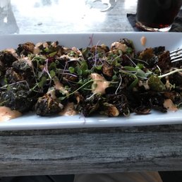 ROOT - Updated December 2025 - 123 Photos & 145 Reviews - 919 Front St ...