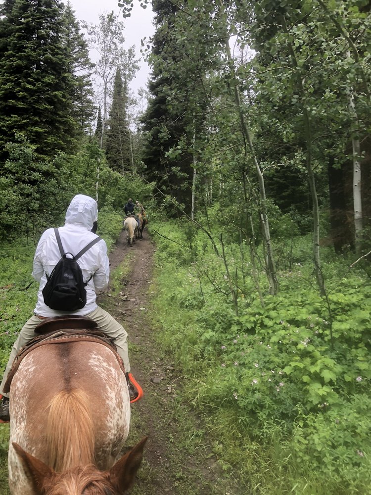 SWAN VALLEY OUTFITTERS - Updated June 2024 - 14 Photos - 3411 US-26 ...