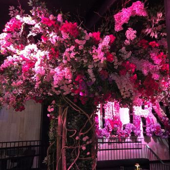 DOCKS OFF 5TH - Updated September 2025 - 412 Photos & 90 Reviews - 25 W ...