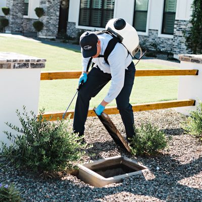 BLUE SKY PEST CONTROL - Updated October 2025 - 30 Photos & 47 Reviews ...