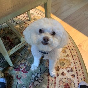 PETSMART - 114 Photos & 167 Reviews - 730 S Sepulveda Blvd, El Segundo ...