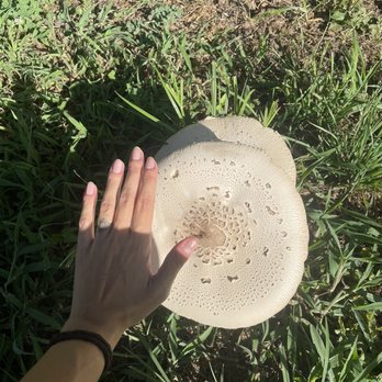 RVA BIG MARKET - Updated January 2025 - 78 Photos & 13 Reviews - 4308 ...