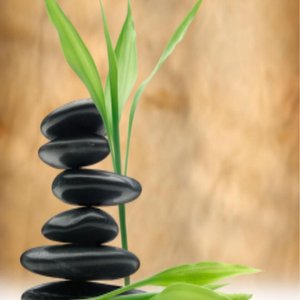 RELAX MAGIC - Updated June 2025 - 18 Reviews - 444 Chicago Ridge Mall ...