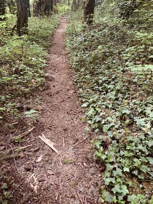 KELLY BUTTE NATURAL AREA - Updated April 2025 - 31 Photos & 11 Reviews ...