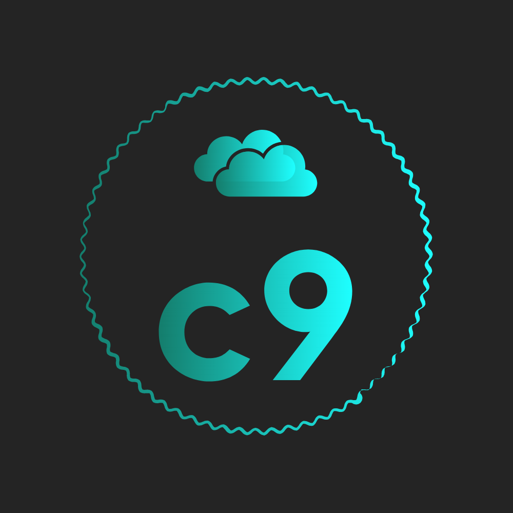 CLOUD C9 NINE - Updated August 2024 - Request Information - 829 Adee ...