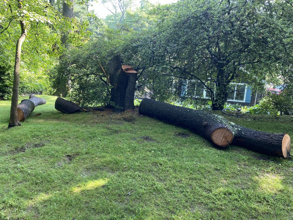 COLGAN TREE AND LANDSCAPE SERVICE - Updated August 2025 - 34 Photos ...