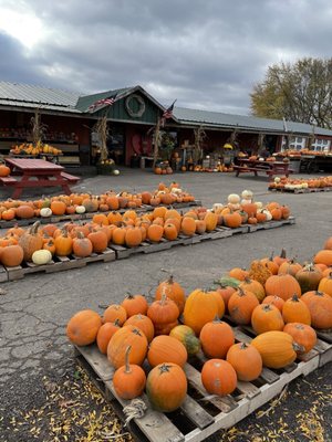 KELLY’S FARM MARKET - Updated October 2024 - 71 Photos & 36 Reviews ...