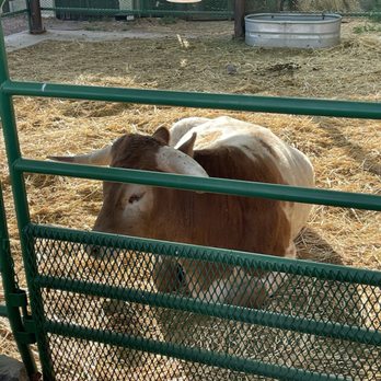 RUSTLER’S ROOSTE - Updated October 2024 - 1638 Photos & 2034 Reviews ...