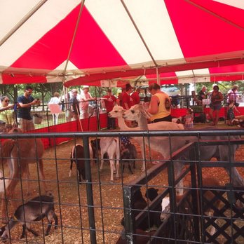 TASTE ADDISON - Updated July 2025 - 154 Photos & 54 Reviews - Addison ...