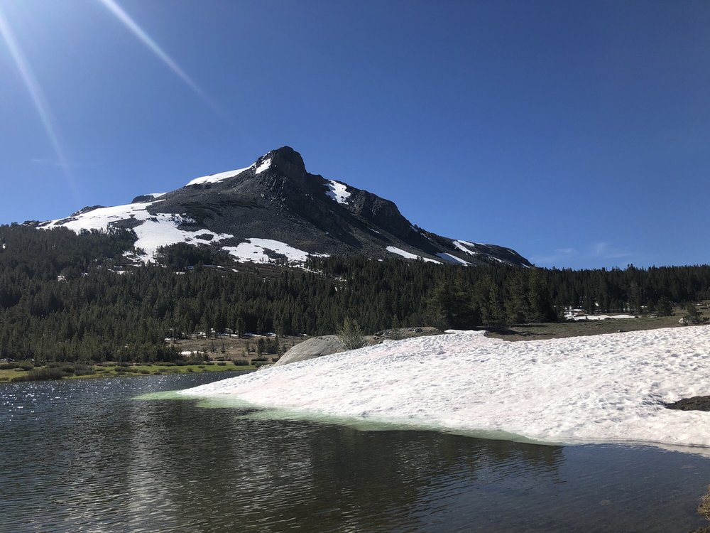 TIOGA LAKE CAMPGROUND - Tioga Pass Rd Saddlebag Lake Rd, Lee Vining ...