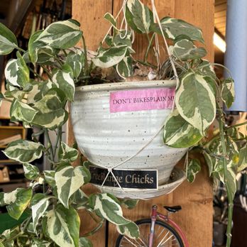 FREE RANGE CYCLES - Updated December 2025 - 23 Photos & 69 Reviews ...