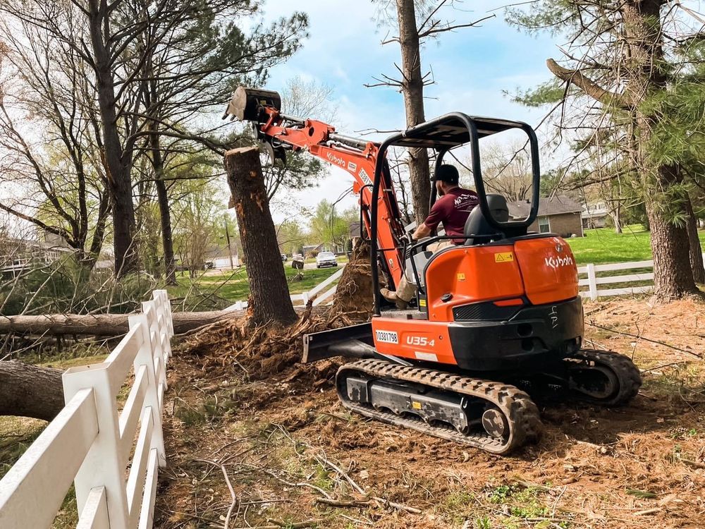 KINGS TREE SERVICE - Updated October 2025 - 28 Photos - Taylors, South ...