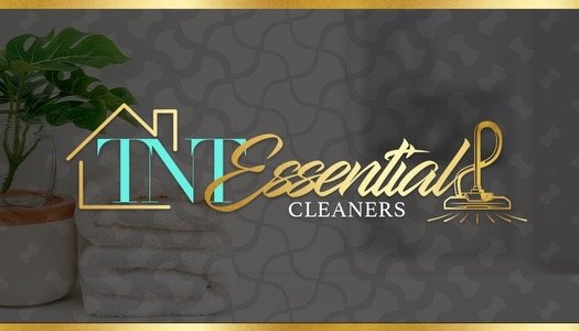 TNT ESSENTIAL CLEANERS - Updated August 2024 - Request a Quote ...