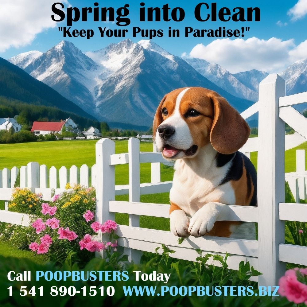 POOPBUSTERS - Updated September 2025 - Request Information - 11 Photos ...