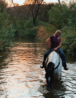 MALIBU RIDERS - Updated April 2024 - 694 Photos & 641 Reviews - Los ...