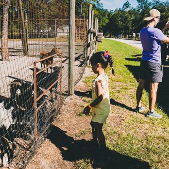 DIAMOND D RANCH - Updated December 2025 - 64 Photos & 22 Reviews - 5903 ...