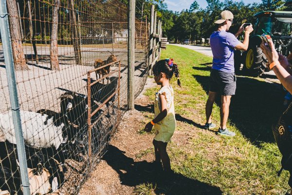 DIAMOND D RANCH - Updated December 2025 - 64 Photos & 22 Reviews - 5903 ...