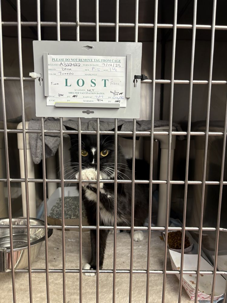 MONTGOMERY COUNTY SPCA - Updated December 2025 - 13 Photos & 52 Reviews ...