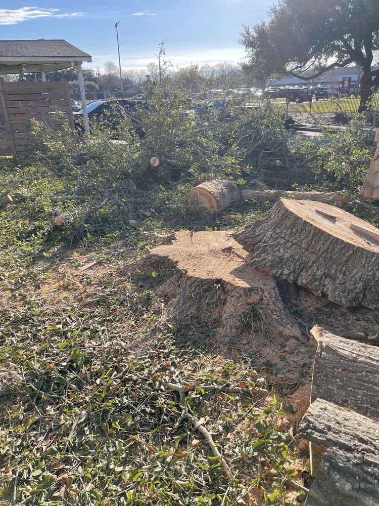 CMC STUMP GRINDING - Updated January 2025 - Request a Quote - Houston ...