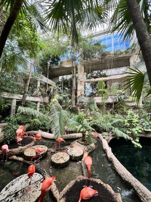 THE DALLAS WORLD AQUARIUM - 2866 Photos & 1086 Reviews - Aquariums ...
