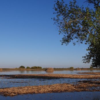 MERCED NATIONAL WILDLIFE REFUGE - Updated December 2025 - 119 Photos ...