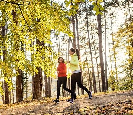 CHARTED PATHS - Updated June 2025 - Request Consultation - North ...