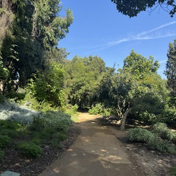 UCLA MATHIAS BOTANICAL GARDEN - Updated January 2026 - 462 Photos & 117 ...