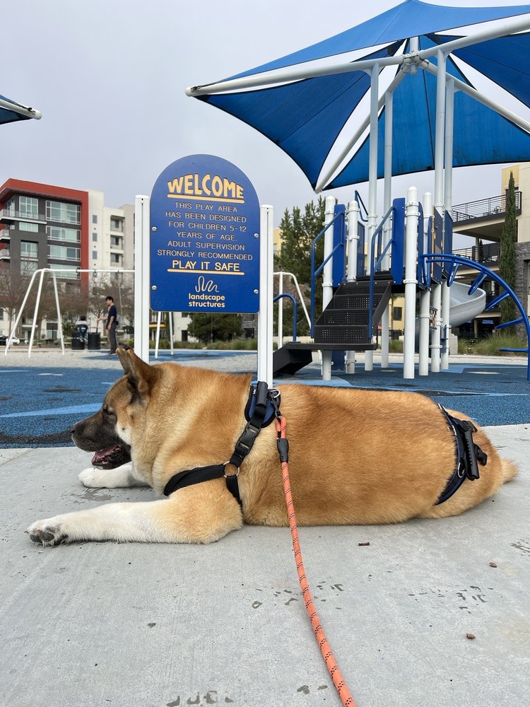 CENTRUM PARK - Updated October 2025 - 52 Photos & 26 Reviews - 8578 ...