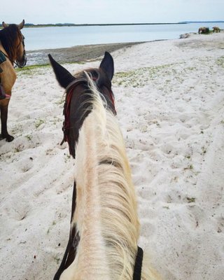 CEDAR ISLAND RANCH - 31 Photos - 120 Driftwood Dr, Cedar Island, NC - Yelp