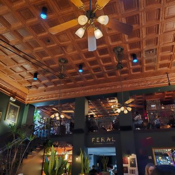 FERAL KITCHEN & LOUNGE - Updated June 2025 - 126 Photos & 52 Reviews ...