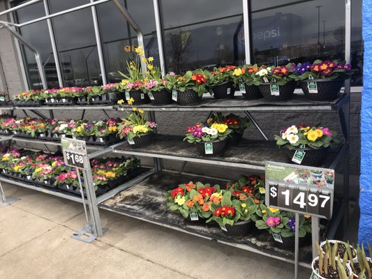 WALMART SUPERCENTER - 36 Photos & 76 Reviews - 1940 Turner Rd SE, Salem ...