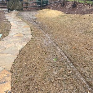 ROOTER PLUS - 63 Photos & 175 Reviews - 5834 Bethelview Rd, Cumming ...