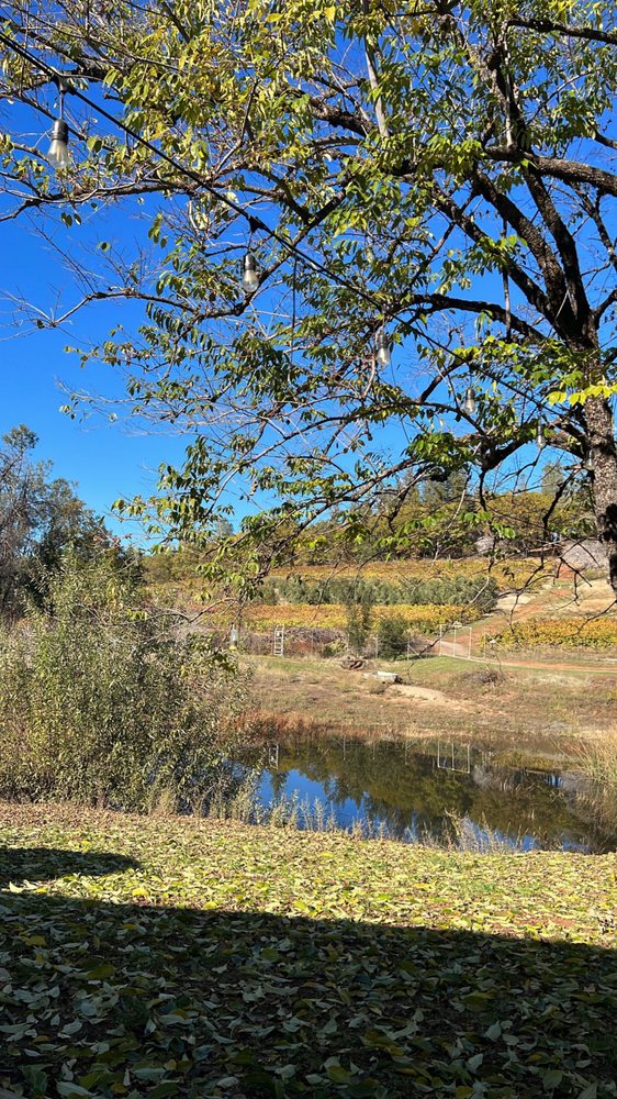 SMOKEY RIDGE RANCH - Updated October 2024 - 19 Photos & 12 Reviews ...