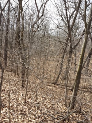 GLACIER HILLS PARK - Updated December 2025 - 13 Photos - 1664 Friess ...