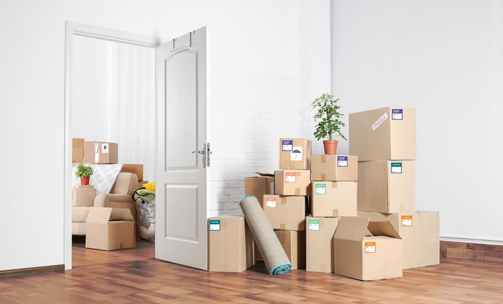 BEE ORGANIZED RHODE ISLAND - Updated March 2025 - Request a Quote ...