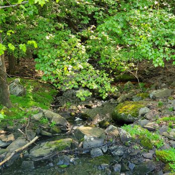 PAUPACK HILLS - Updated December 2025 - 73 Photos - 125 Country Club Rd ...