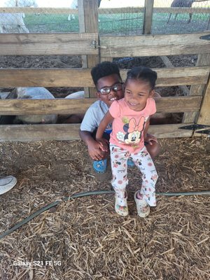 APLIN FARMS - Updated January 2026 - 2729 Co Rd 49, Dothan, Alabama ...