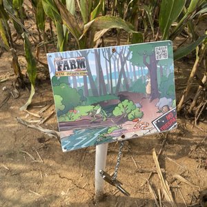 MAPLE LANE FARMS & CORN MAZE - Updated December 2025 - 29 Photos & 10 ...