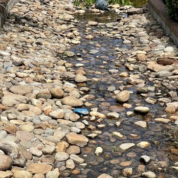 LOKOS TACOS- BOY SCOUT RD - Updated December 2025 - 91 Photos & 35 Reviews - 235 Boy Scout Rd ...