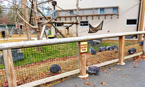 CAPE MAY COUNTY PARK & ZOO - 1098 Photos & 324 Reviews - 707 Rt US 9 N ...