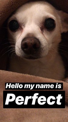 TOLEDO HUMANE SOCIETY - Updated October 2025 - 20 Photos & 14 Reviews ...