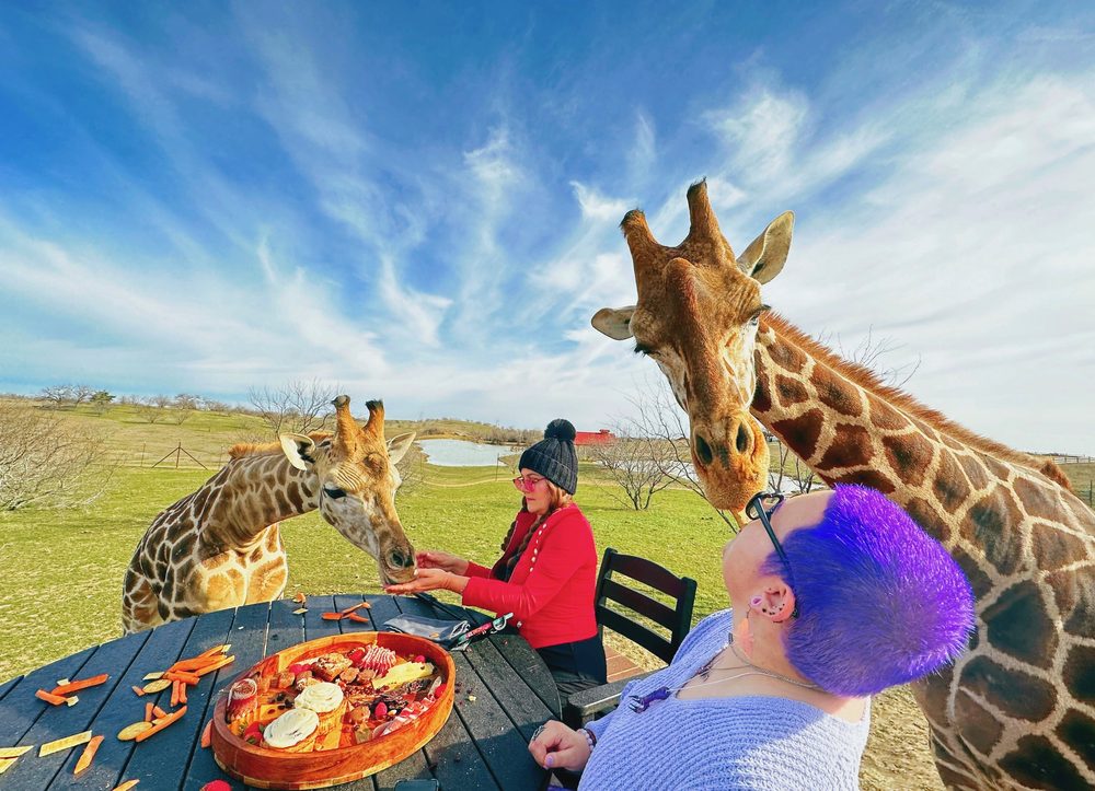 BLUE HILLS RANCH - 100 Photos & 20 Reviews - 2032 Blue Cut Rd N ...