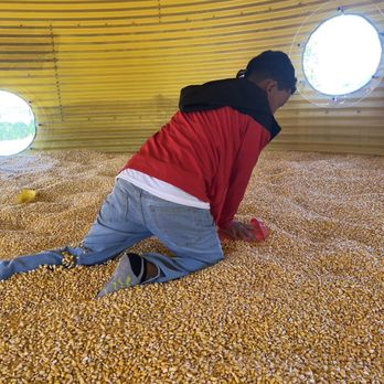 RADER FAMILY FARMS - Updated October 2025 - 45 Photos & 16 Reviews ...