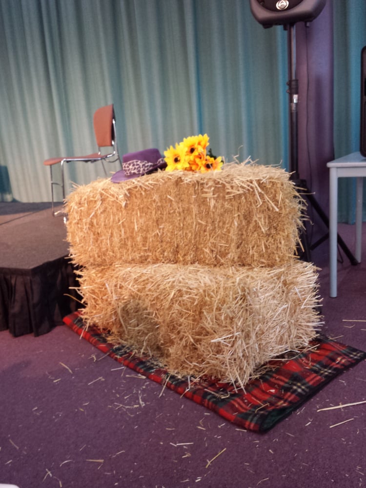 MT BARKER COMMUNITY LIBRARY - Updated May 2024 - Dumas St, Mount Barker ...