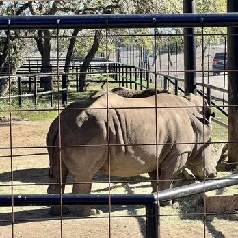 NATURAL BRIDGE WILDLIFE RANCH - Updated December 2025 - 1806 Photos ...